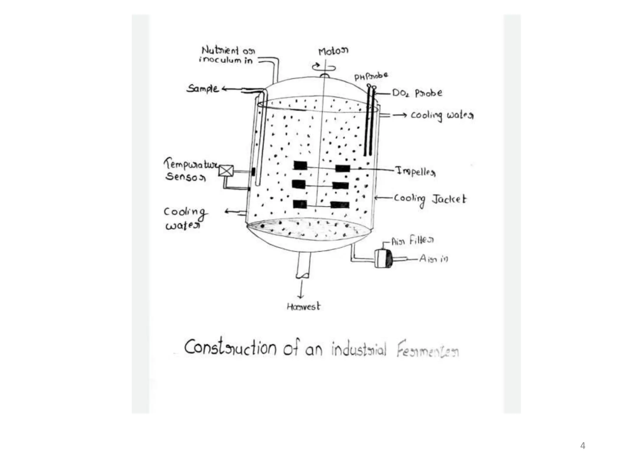 Biopharmaceutics or Process Chemistry Fermentation | PPTX