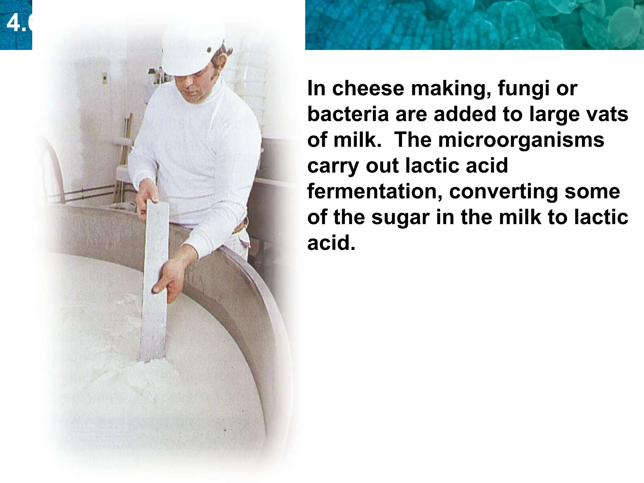 Fermentation and its types and impact on body | PPT