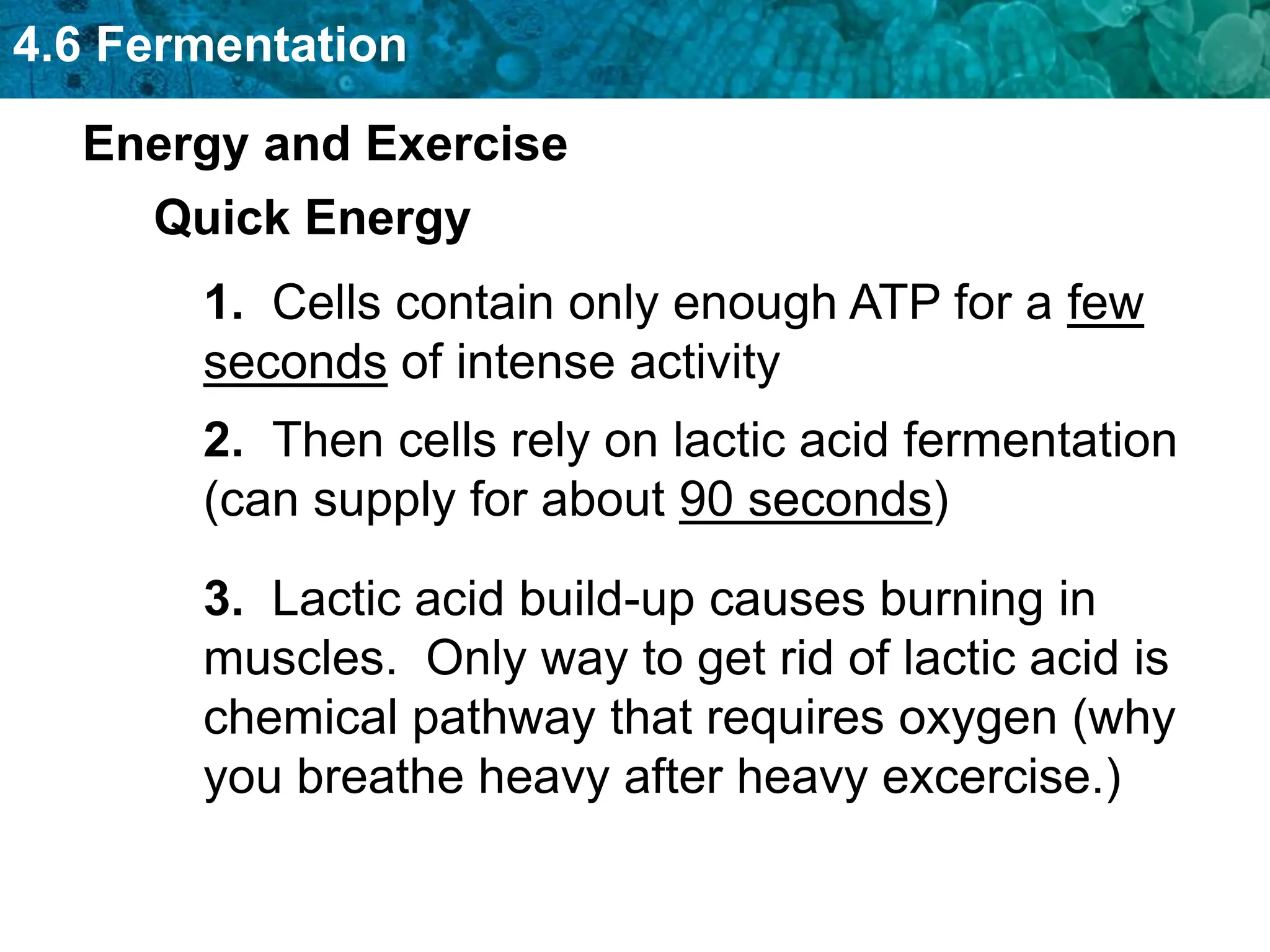 Fermentation and its types and impact on body | PPT