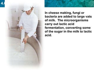 Fermentation and its types and impact on body | PPT