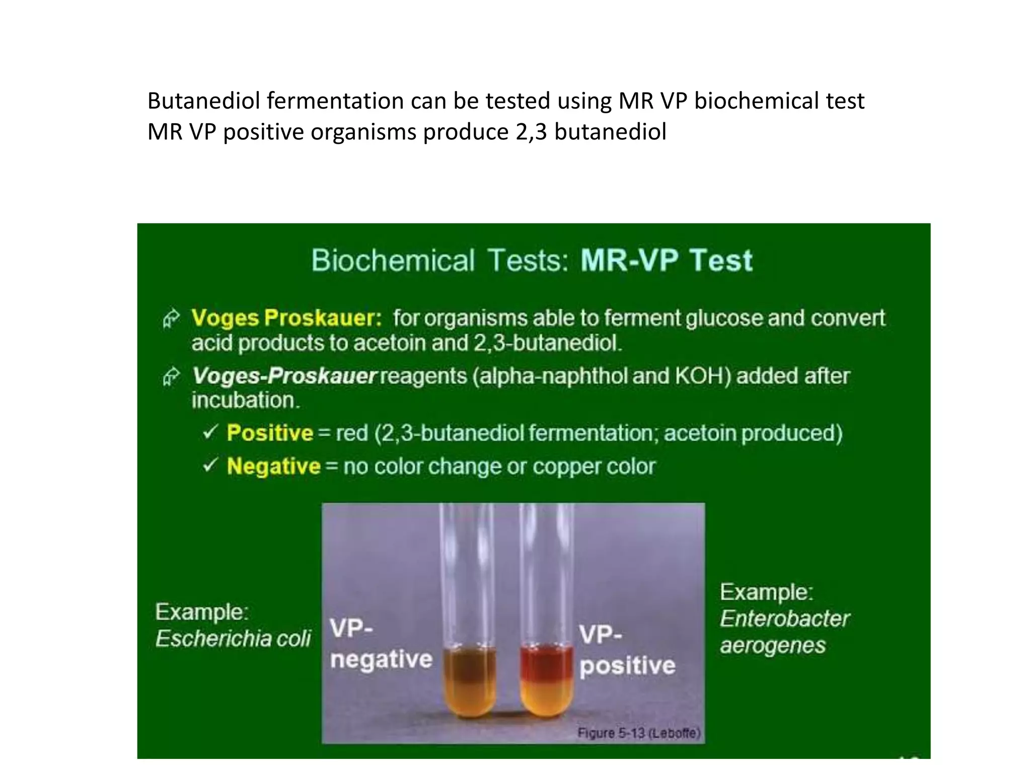 Fermentation of ABE and butanediol | PPTX