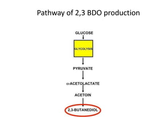 Fermentation of ABE and butanediol | PPTX | Chemistry | Science