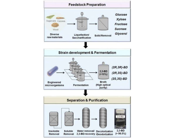 Fermentation of ABE and butanediol | PPTX | Chemistry | Science
