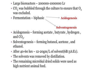 Fermentation of ABE and butanediol | PPTX | Chemistry | Science