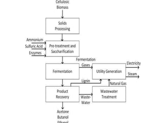 Fermentation of ABE and butanediol | PPTX | Chemistry | Science