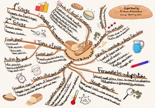 Fermentation of bakery products mind map | PPT