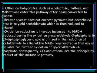 Fermentation of carbohydrates | PPT
