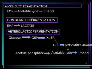 Fermentation of carbohydrates | PPT