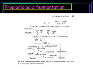 Fermentation of carbohydrates | PPT