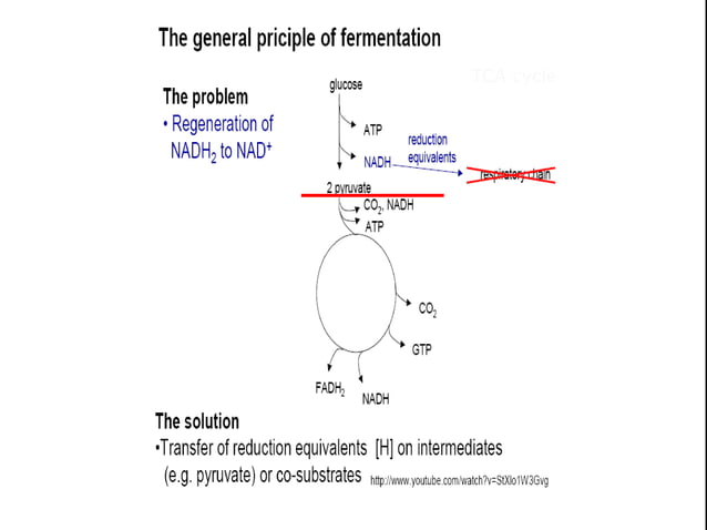 Fermentation of carbohydrates | PPT
