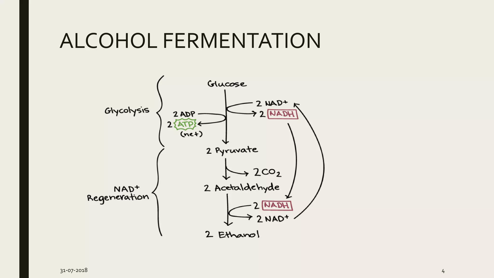 Fermentation of cellulose to ethanol | PPT