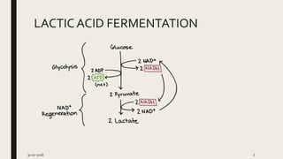 Fermentation of cellulose to ethanol | PPT