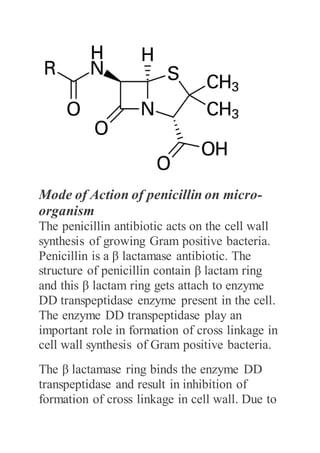 Fermentation of penicillin antibiotic | DOCX