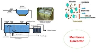 Fermentation in medicinal biotechnology | PPTX