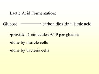 Fermentation ppt | PPTX