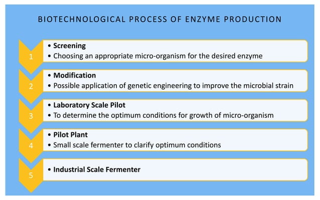 Production of Enzymes | PPTX