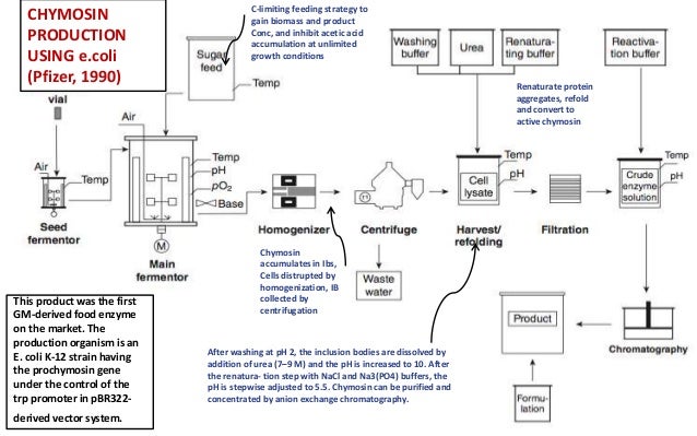 Production of Enzymes