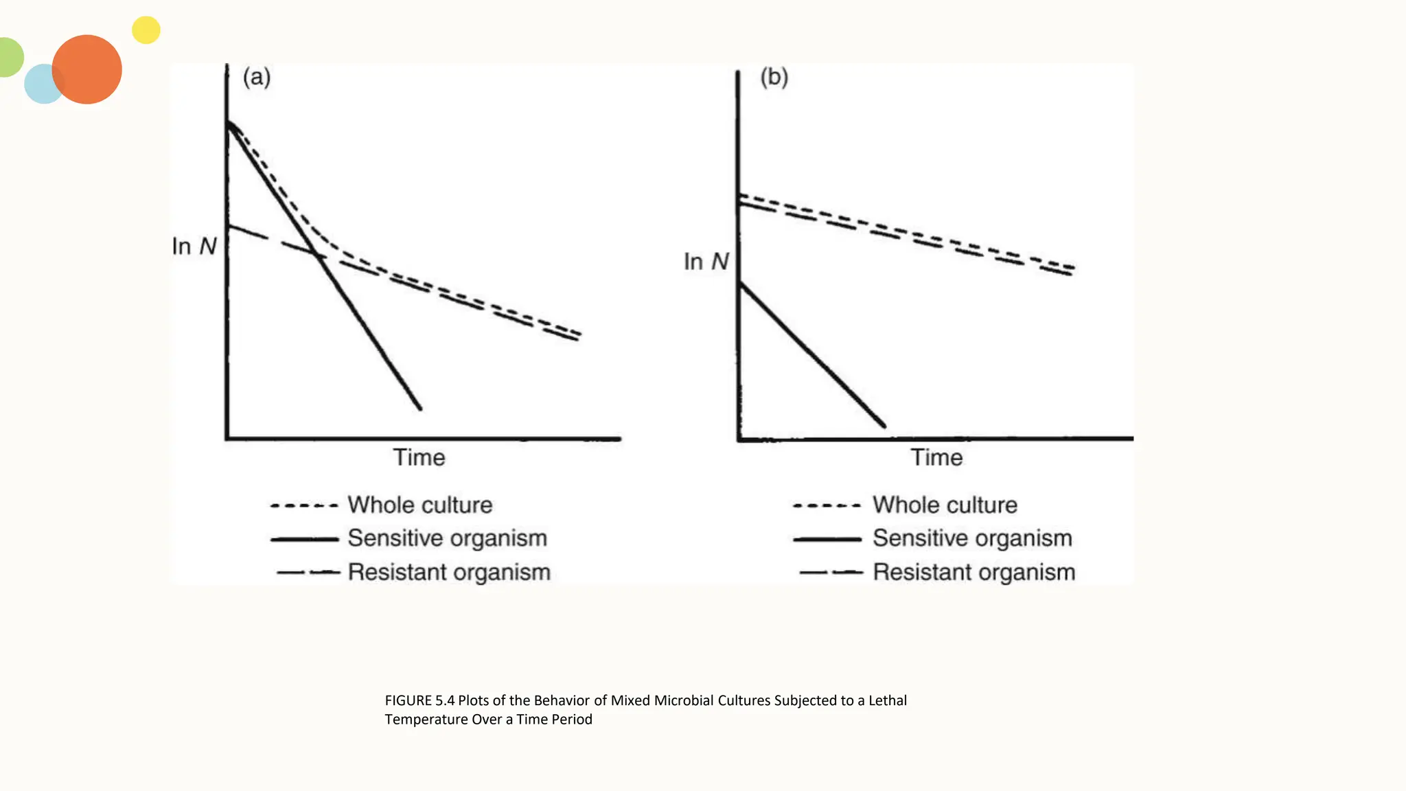 Sterilization and thermal death kinetics | PPTX