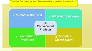 Fermentation pratik potdar | PPTX | Biotech and Biomedical Industry ...