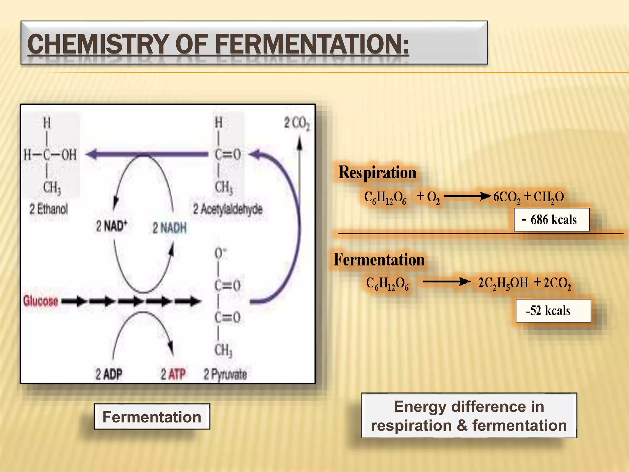 Aerobic and Anaerobic Fermentation | PPTX