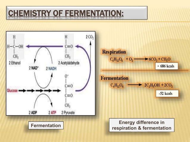 Aerobic and Anaerobic Fermentation | PPTX