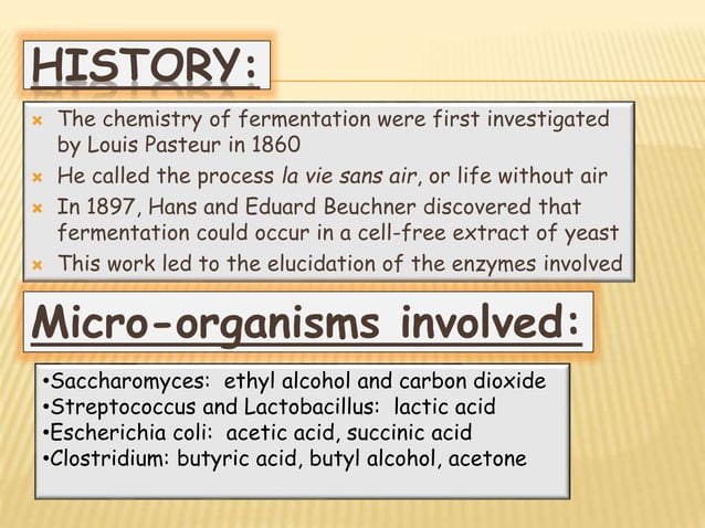 Aerobic and Anaerobic Fermentation | PPTX