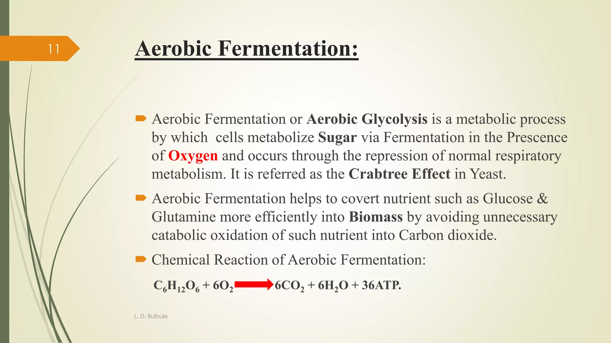 Fermentation Presentation.pdf | Chemistry | Science