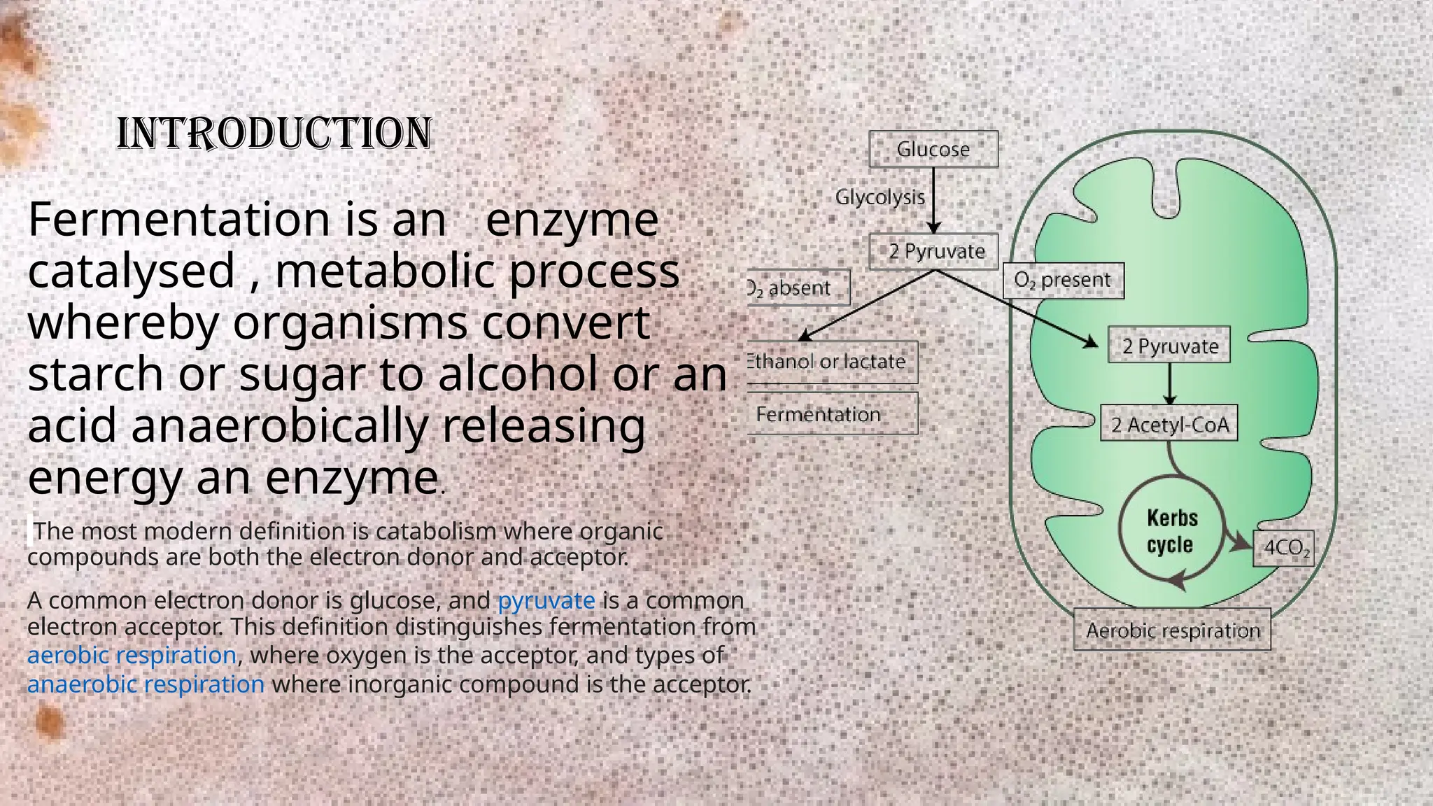 fermentation presentation'. very easy ppt | PPT