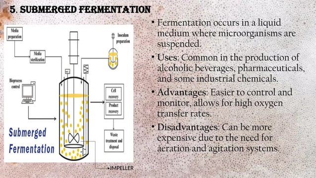 fermentation presentation'. very easy ppt | PPT