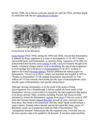 Fermentation process | DOCX