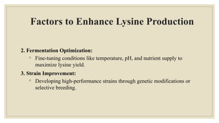 Fermentation Process for lysin production.pptx