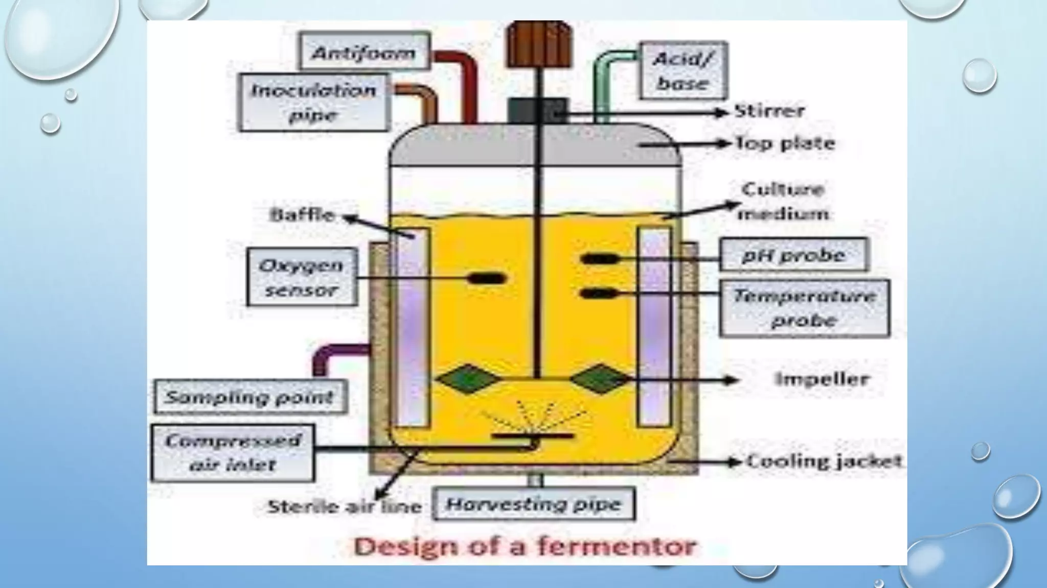 Fermentation process - a typical Fermenter, Media formulation | PPTX