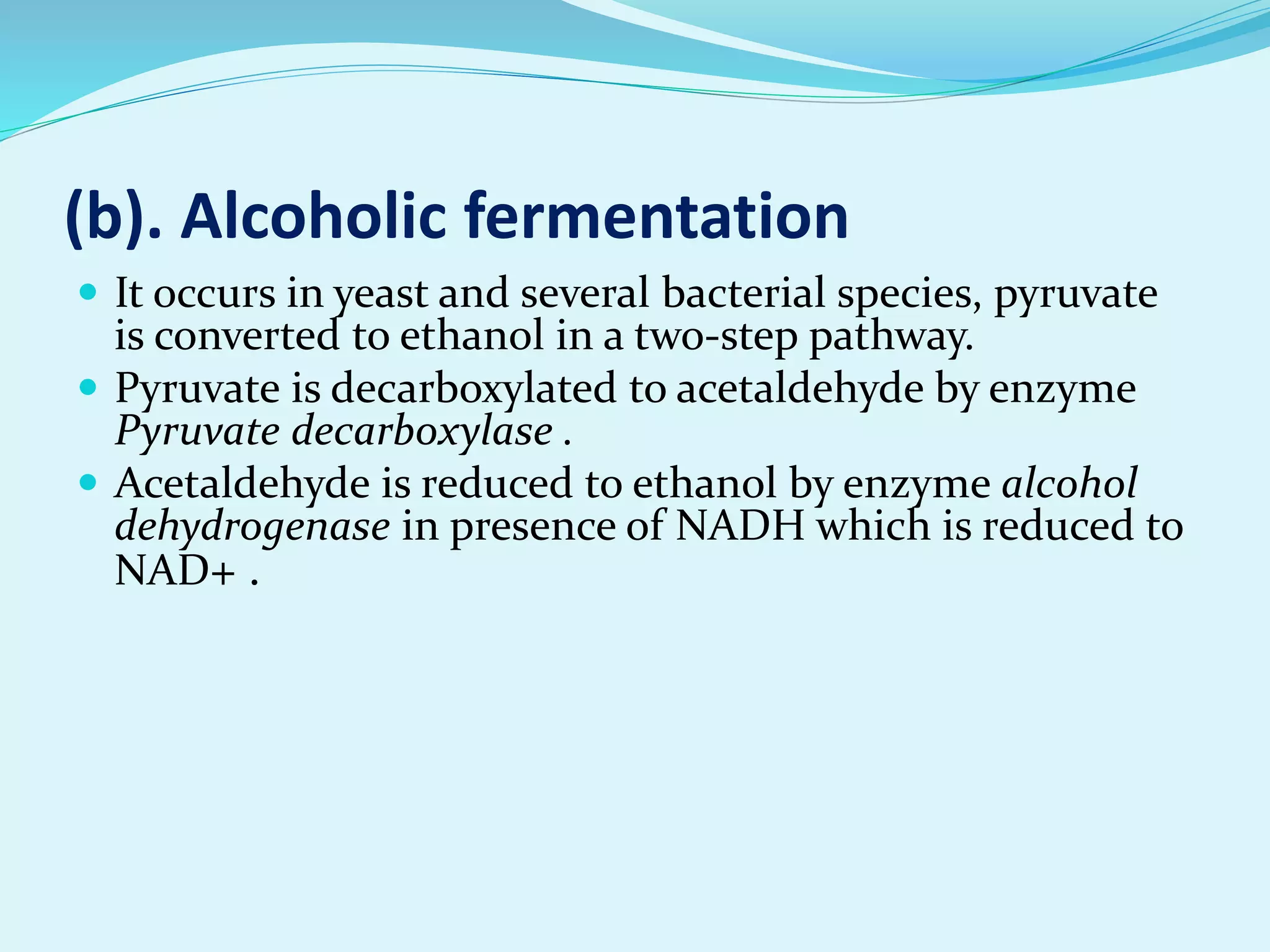 Fermentation process and products | PPTX