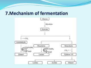 Fermentation process and products | PPTX