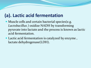 Fermentation process and products | PPTX