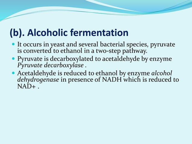 Fermentation process and products | PPTX | Chemistry | Science
