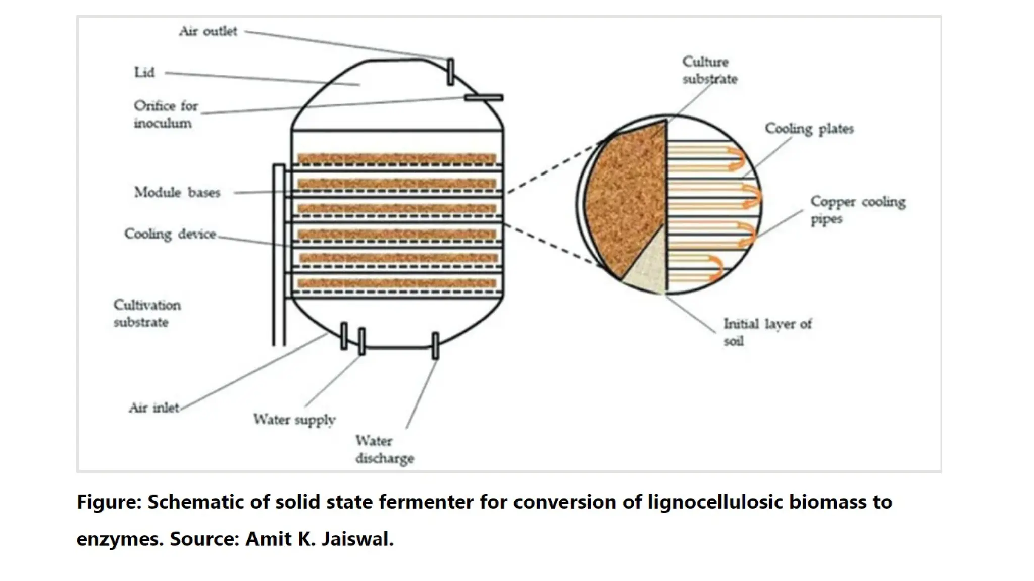 Fermentation process_downstream processing | PPTX