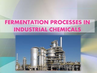 Fermentation processes and their application | PPTX