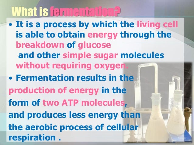 Fermentation processes and their application