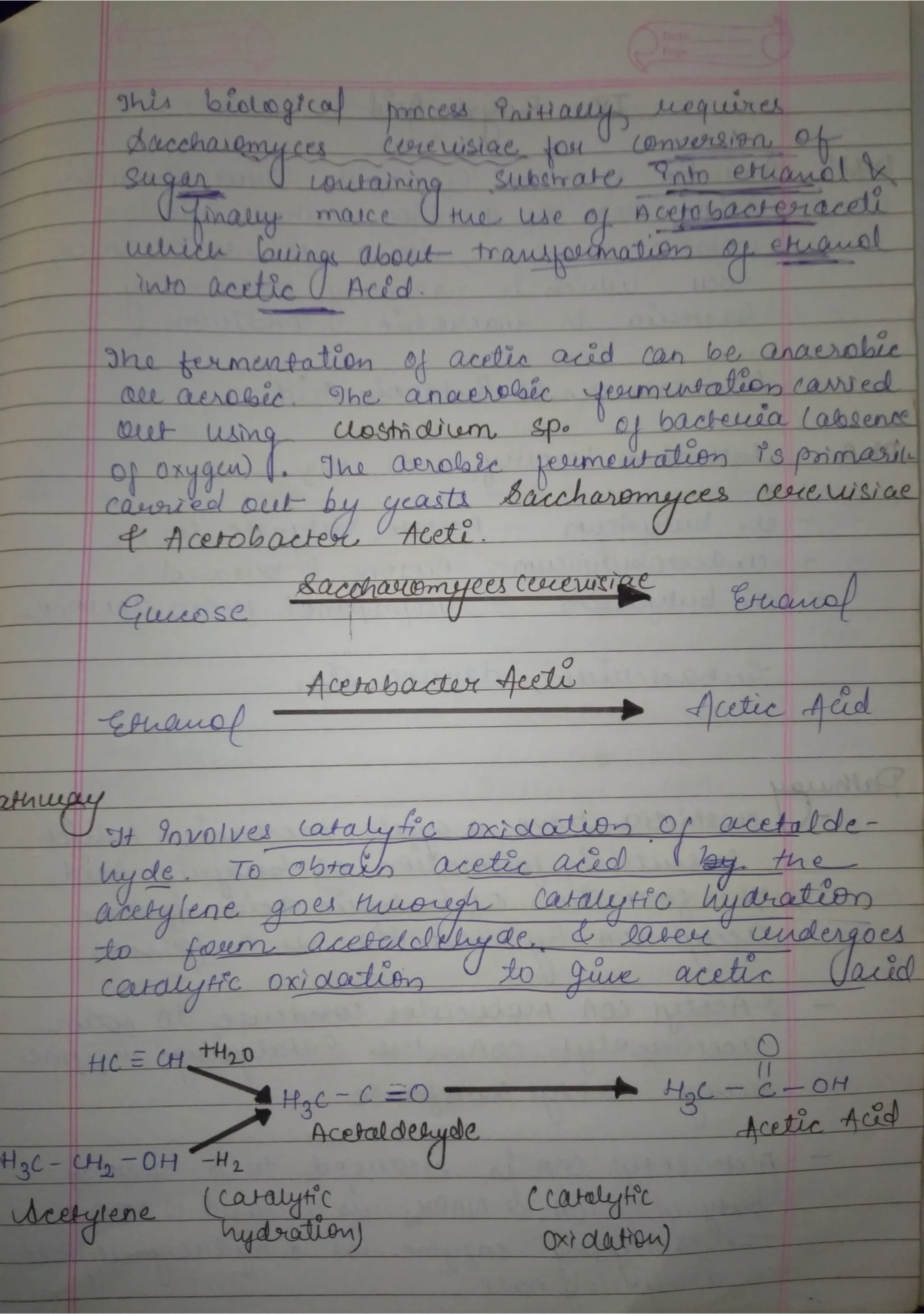 fermentation process of acetic acid and butyric acid.pdf