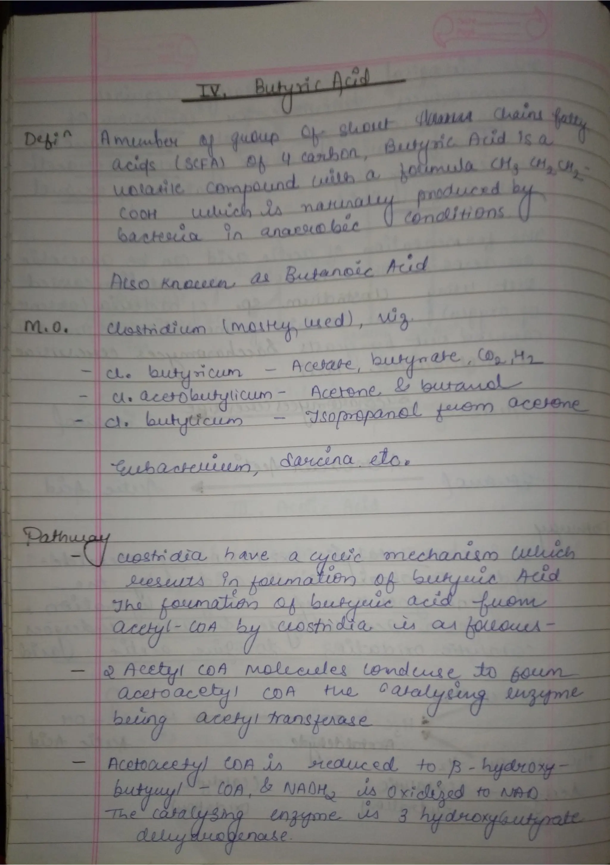 fermentation process of acetic acid and butyric acid.pdf