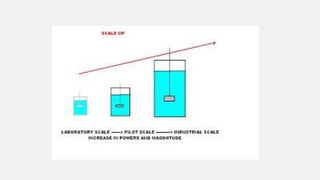Fermentation scale up_lesson 8.pptx