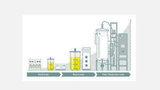 Fermentation scale up_lesson 8.pptx