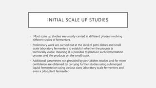 Fermentation scale up_lesson 8.pptx