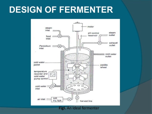 Fermentation technology | PPTX | Chemistry | Science