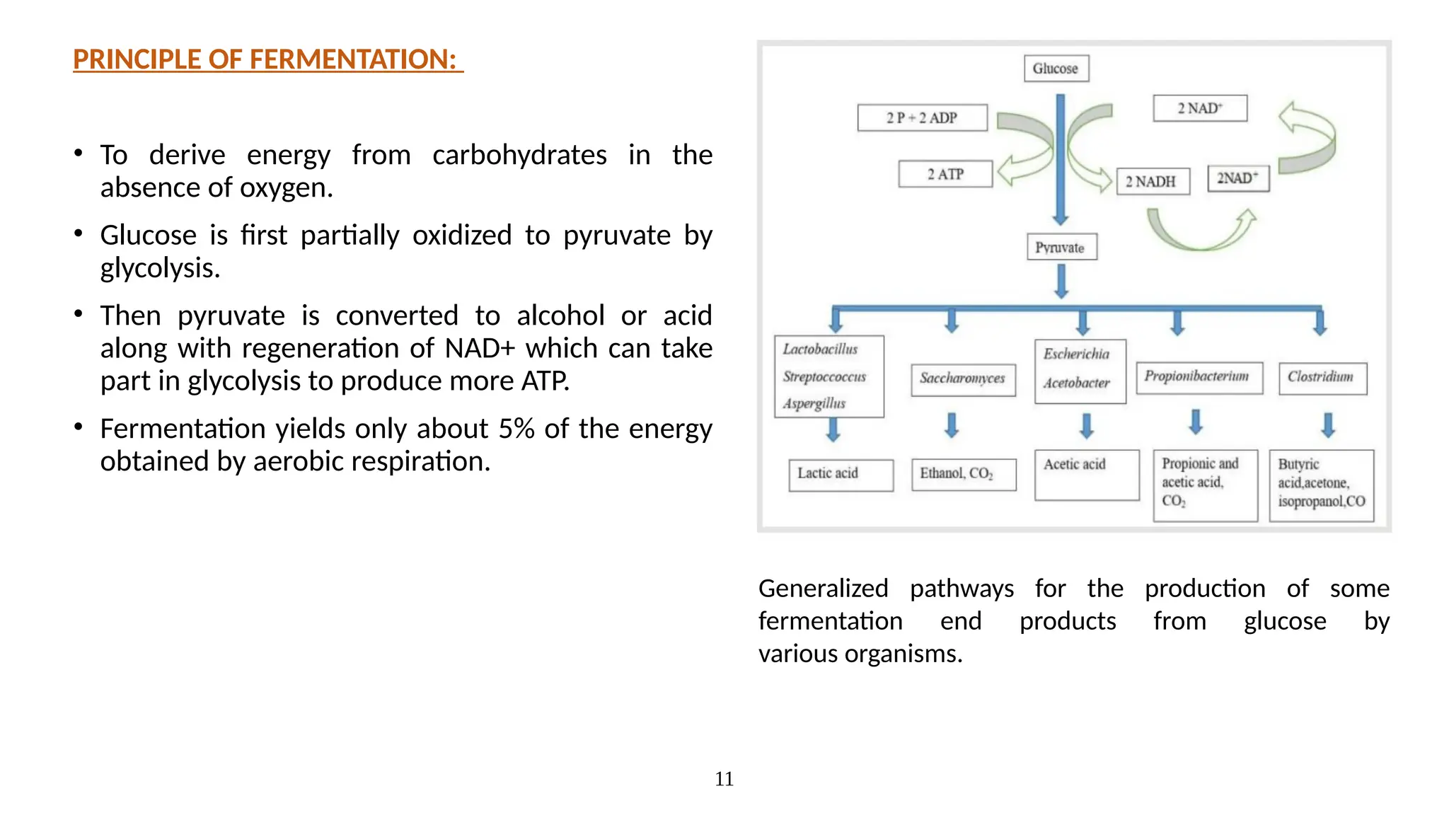 Fermentation technology and its application .pptx
