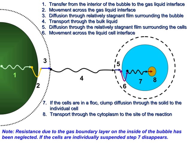 Fermentation Technology - Oxygen transfer, Antifoam Agents, Agitation ...
