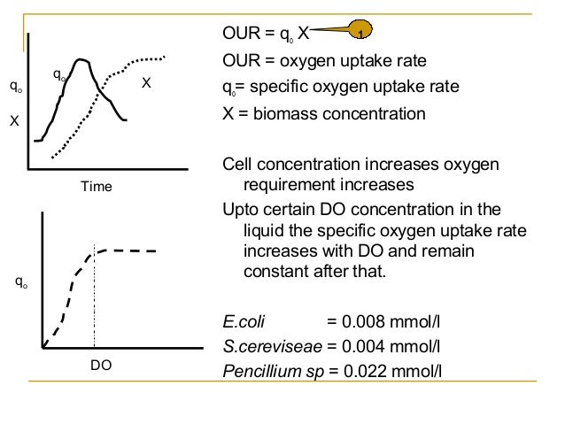 Fermentation Technology - Oxygen transfer, Antifoam Agents, Agitation…