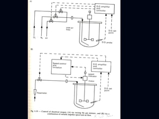 Fermentation technology, Bioprocess Principles | PPT