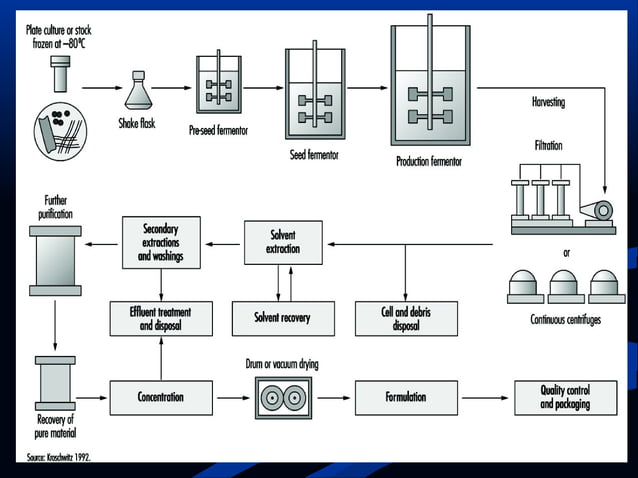 Fermentation technology, Bioprocess Principles